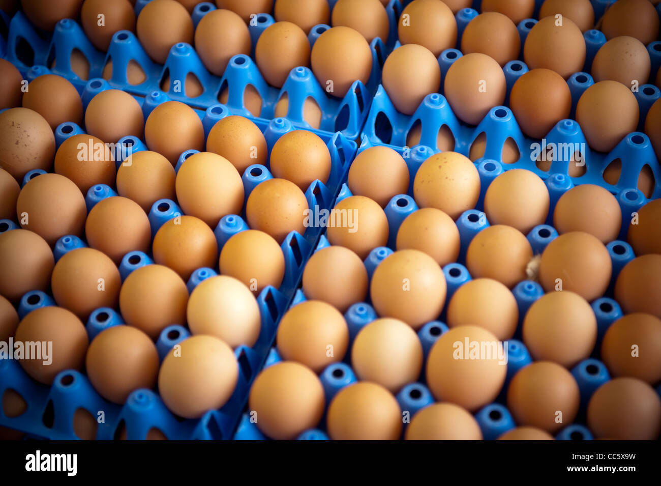 a rack of free range eggs on display Stock Photo - Alamy