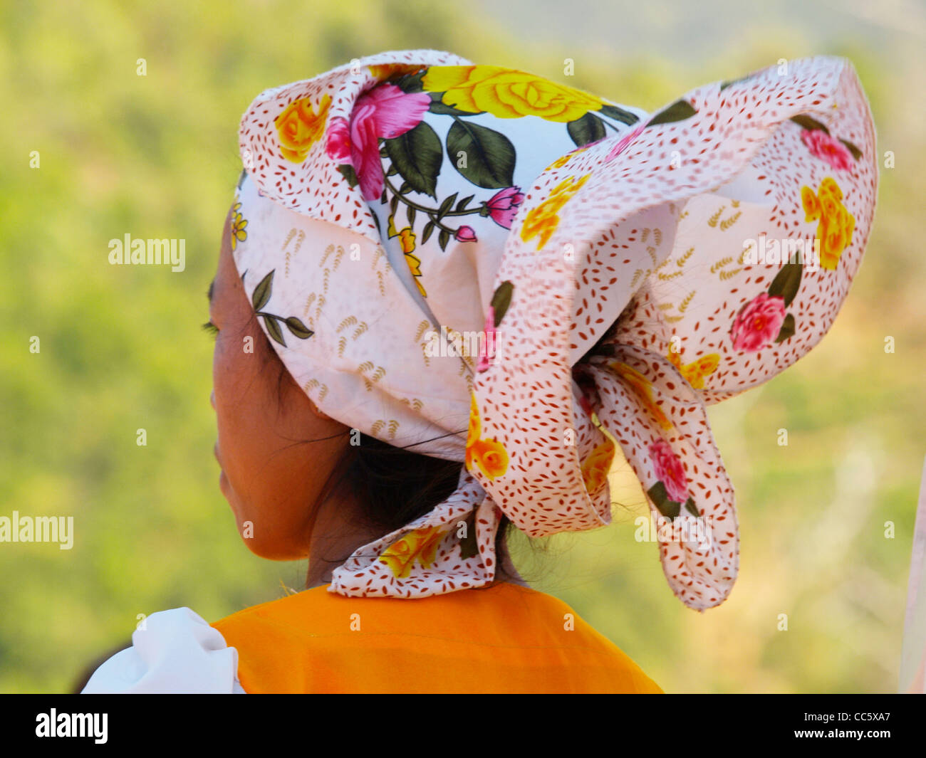 China yunnan xishuangbanna jinghong dai hi-res stock photography and ...