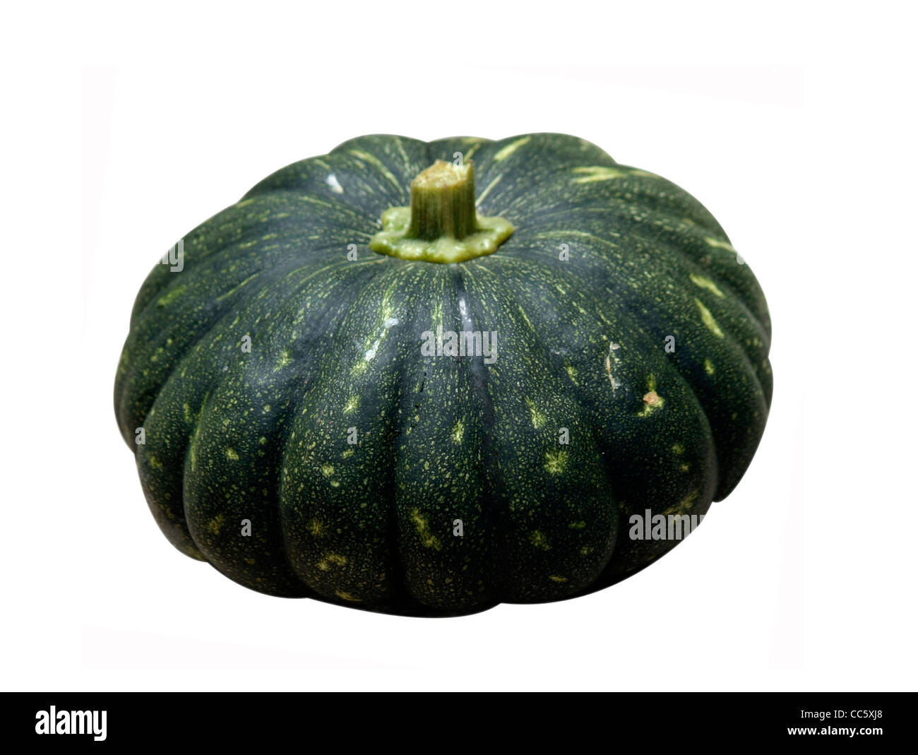 Indian White Pumpkin