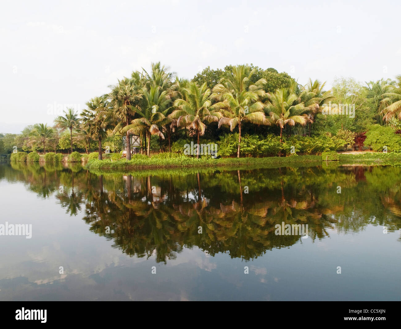 Xishuangbanna tropical botanical garden hi-res stock photography and ...