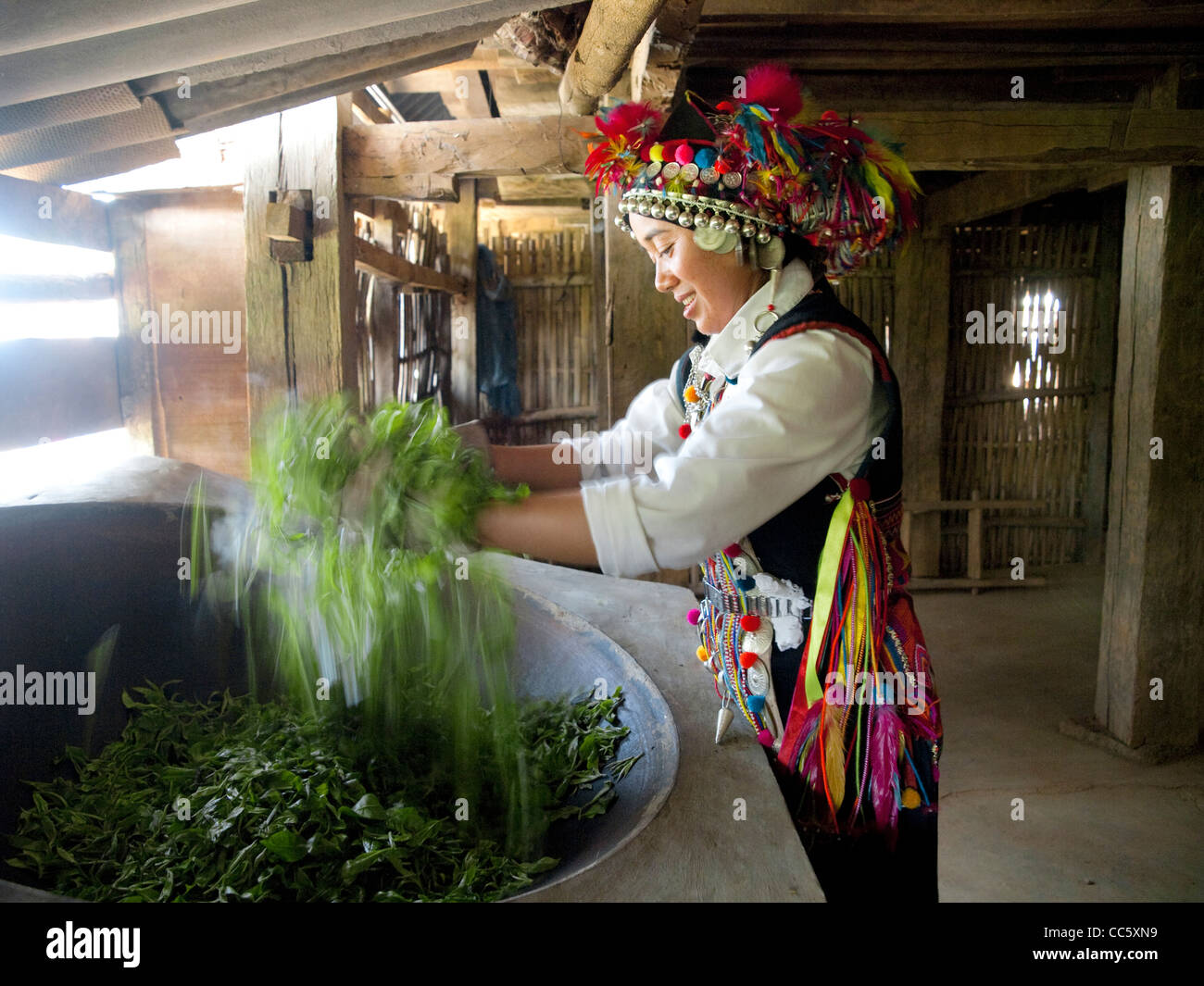 Hani woman stir-fry tea leaves, Mahei Village, Yiwu, Xishuangbanna ...