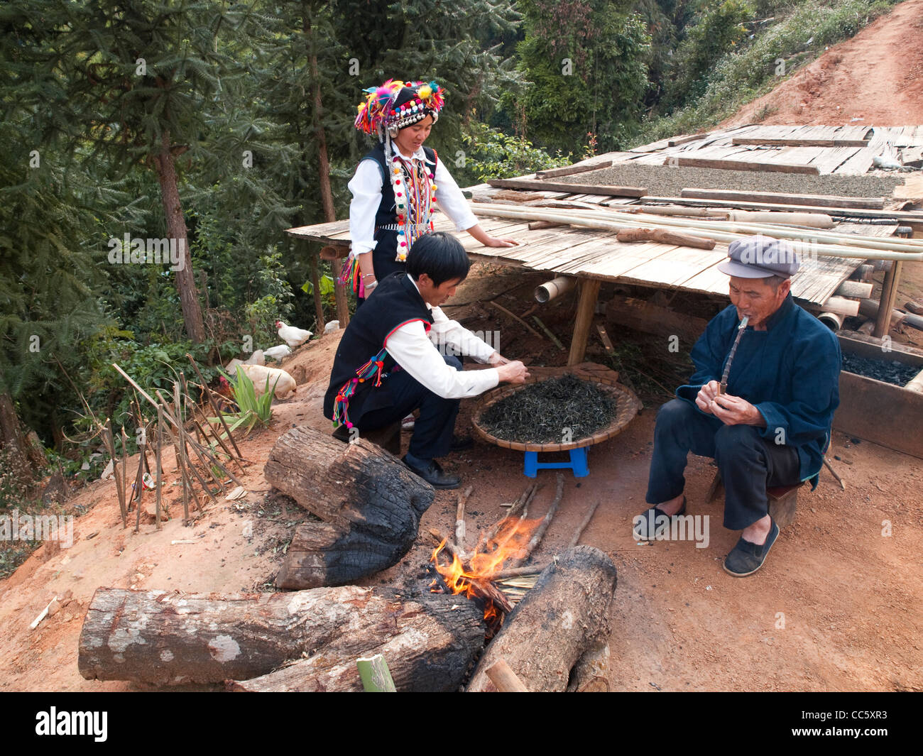 Hani people tea hi-res stock photography and images - Alamy