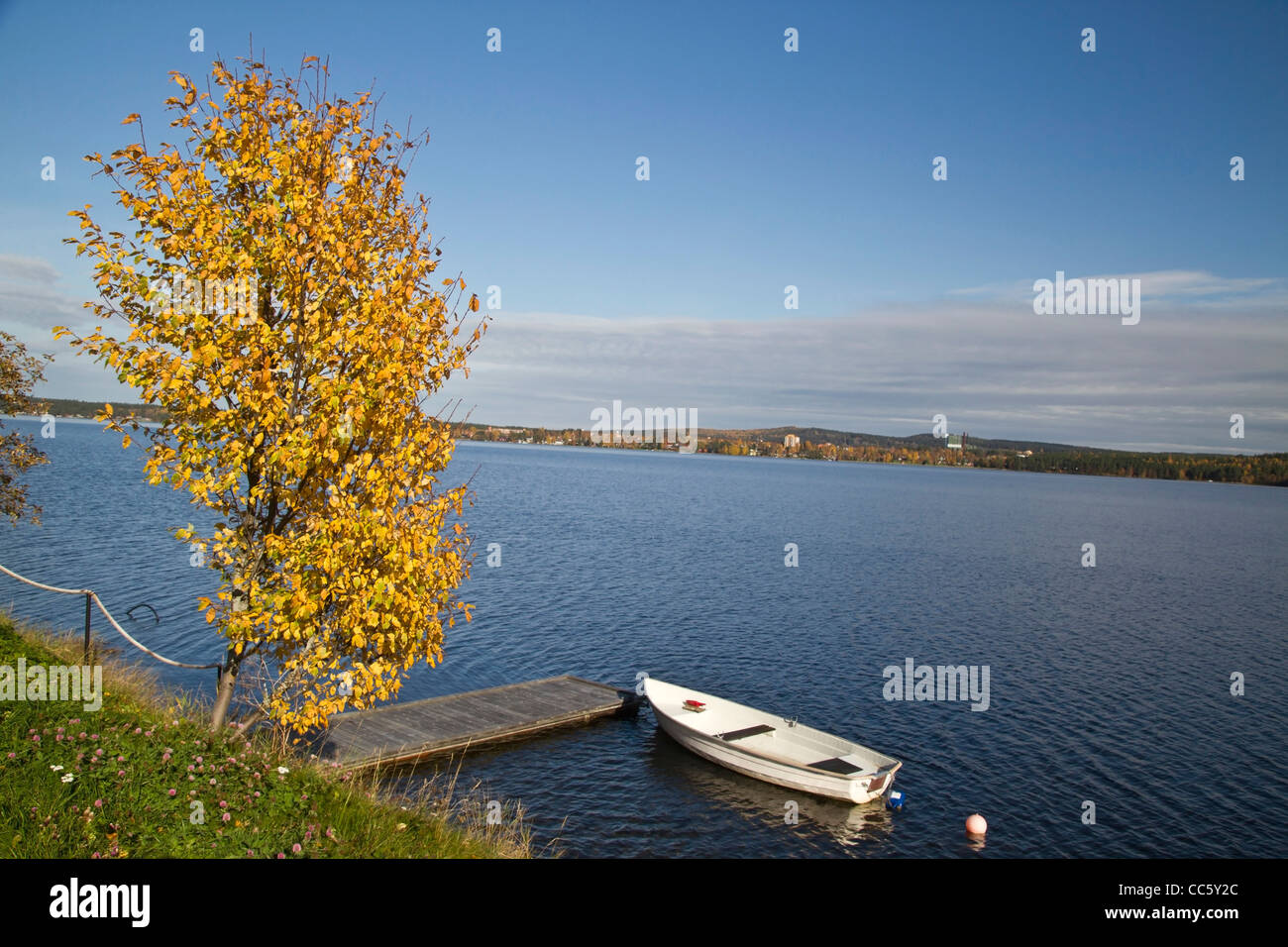 Tree with boat hi-res stock photography and images - Alamy