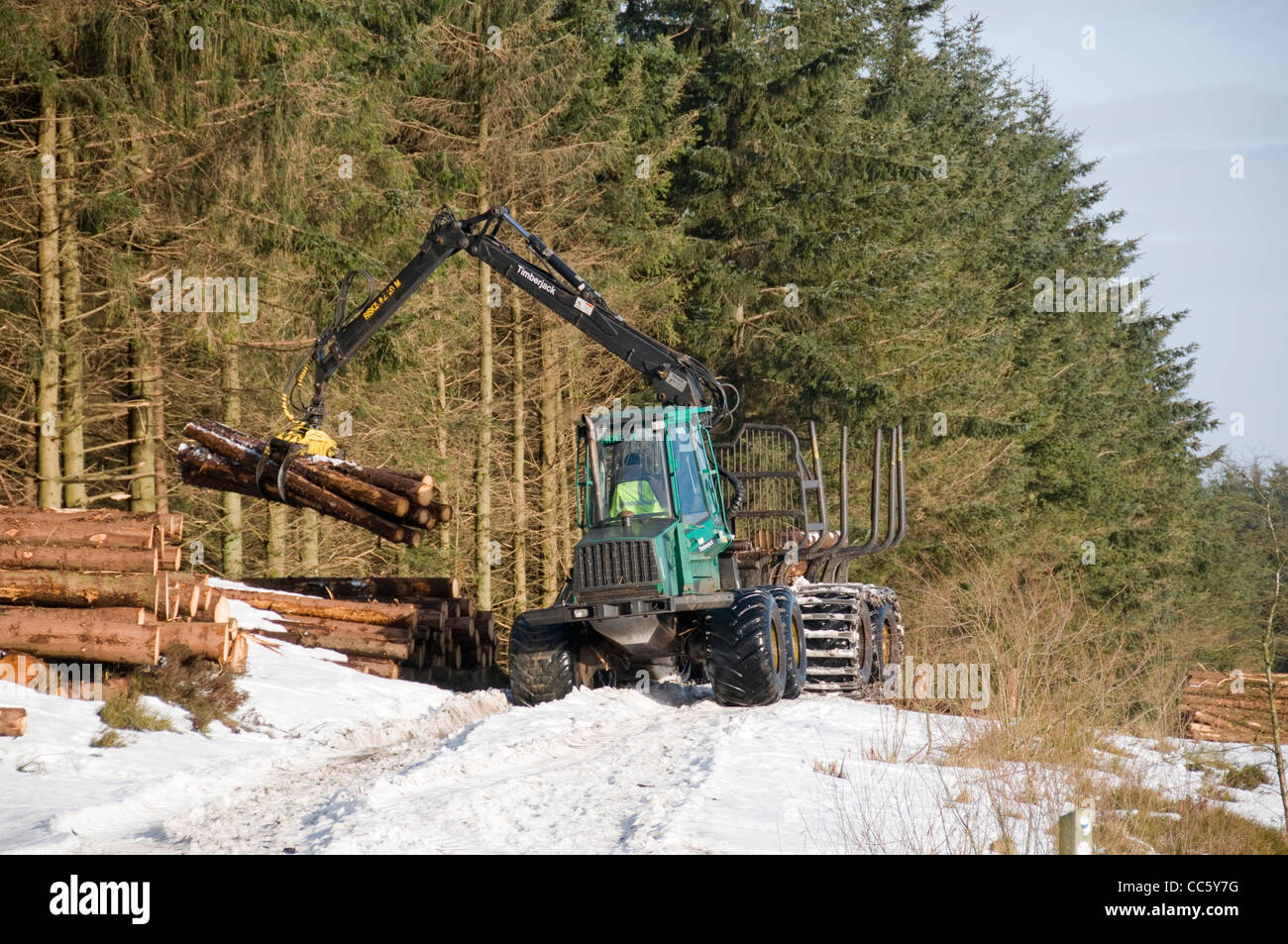 Forestry logging machinery loading logs onto a trailer in Llandegla ...