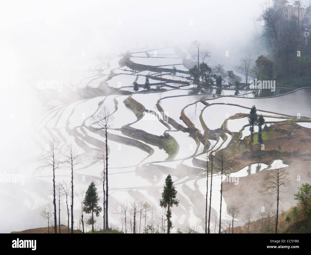 Yuanyang Terraced Rice Fields, Yuanyang, Honghe, Yunnan , China Stock ...