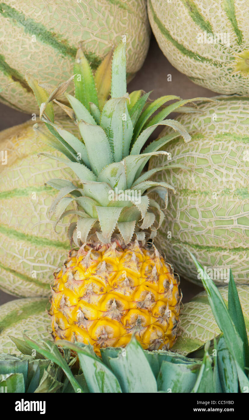 Pineapple melons hi-res stock photography and images - Alamy