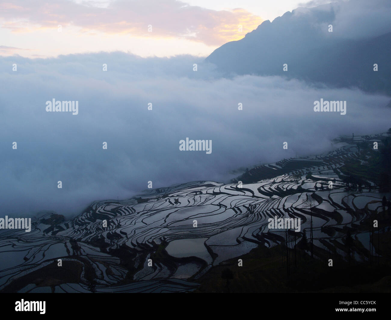 Yuanyang Terraced Rice Fields, Yuanyang, Honghe, Yunnan , China Stock ...