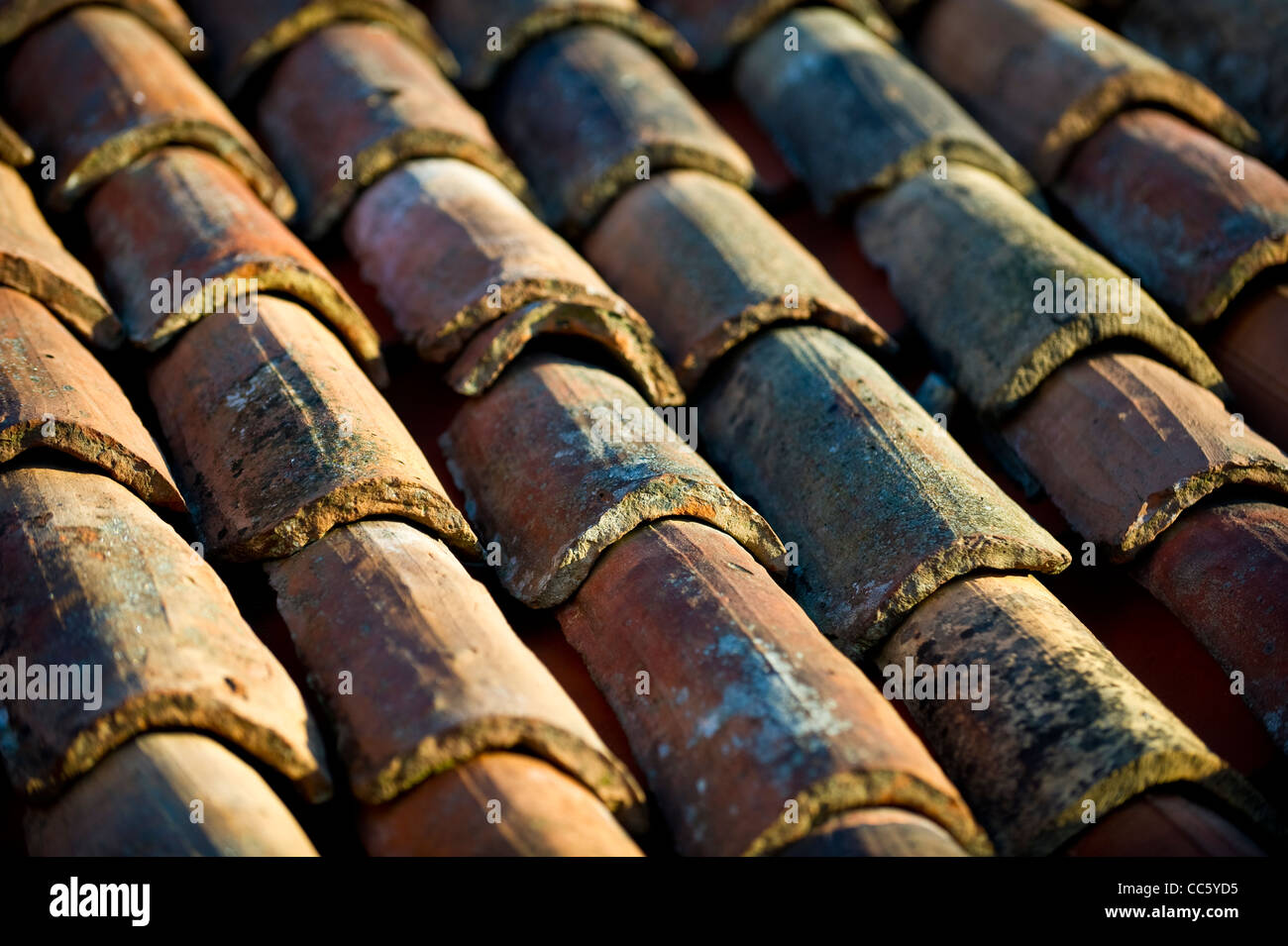 Palazzo roof tiles venice hi-res stock photography and images - Alamy