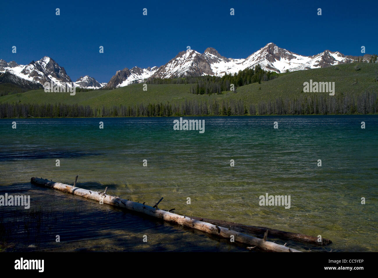 Redfish lake hi-res stock photography and images - Alamy