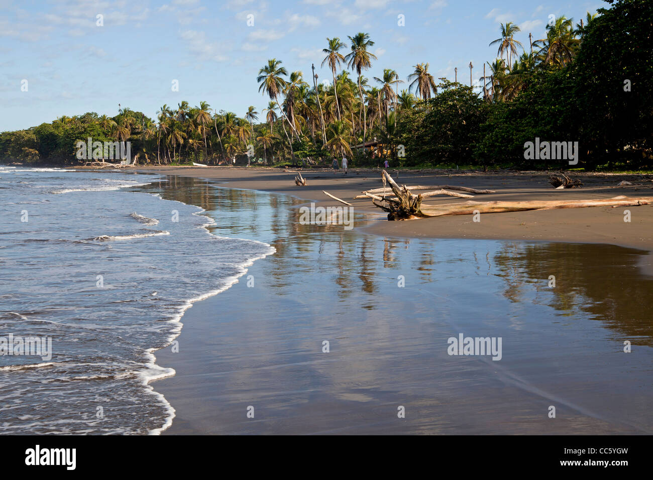 Playa Negra, a black beach at the caribbean coast in Cahuita, Costa ...