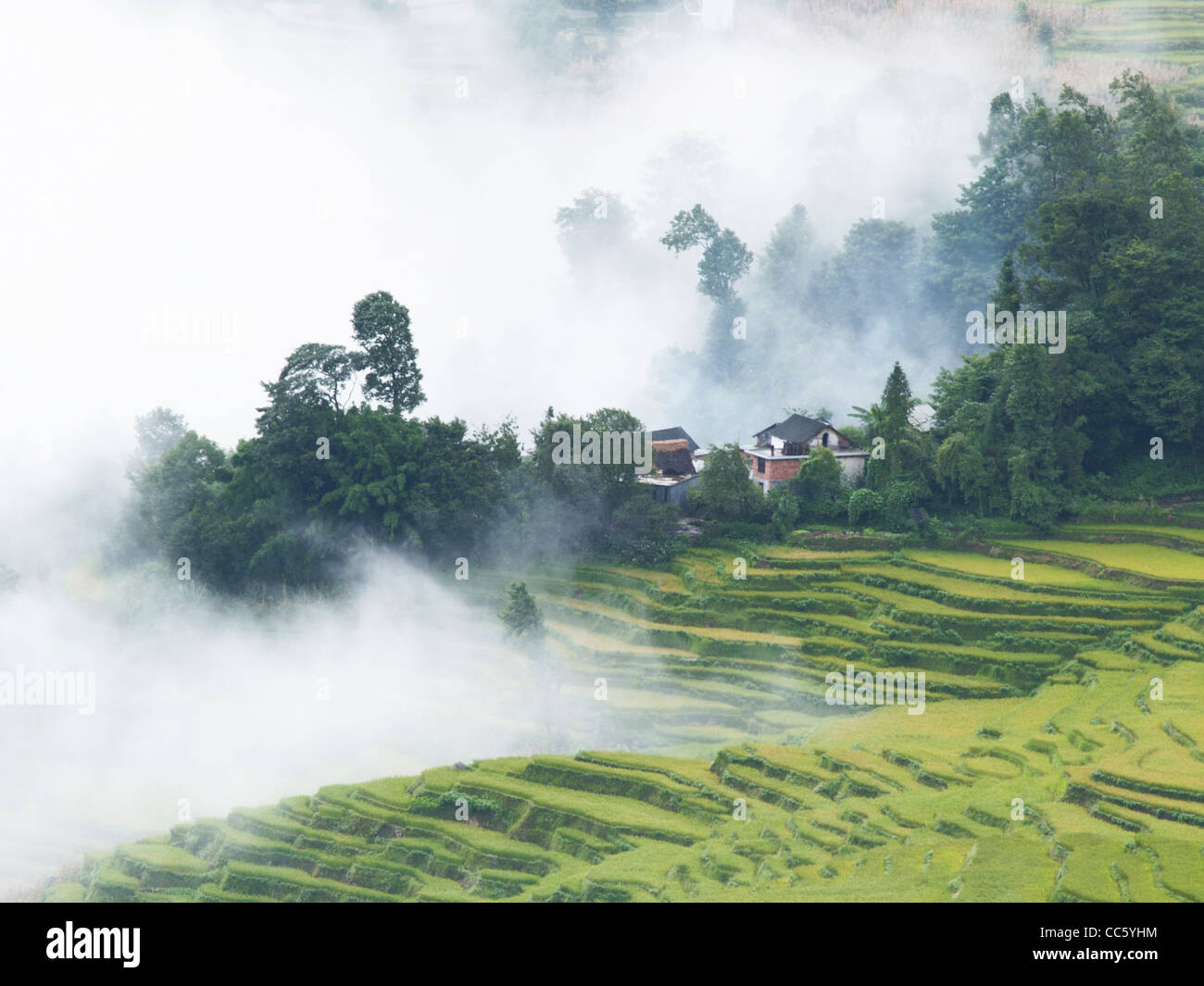 Yuanyang Terraced Rice Fields, Yuanyang, Honghe, Yunnan , China Stock ...
