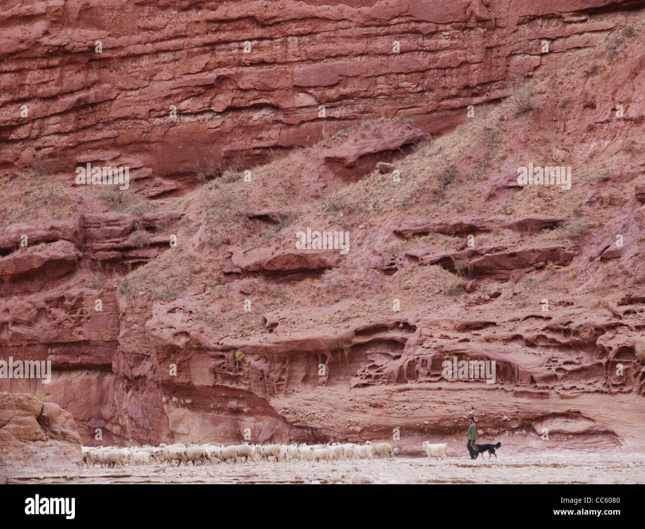 People herding sheep in the Kuche Grand Canyon, Aksu Prefecture ...