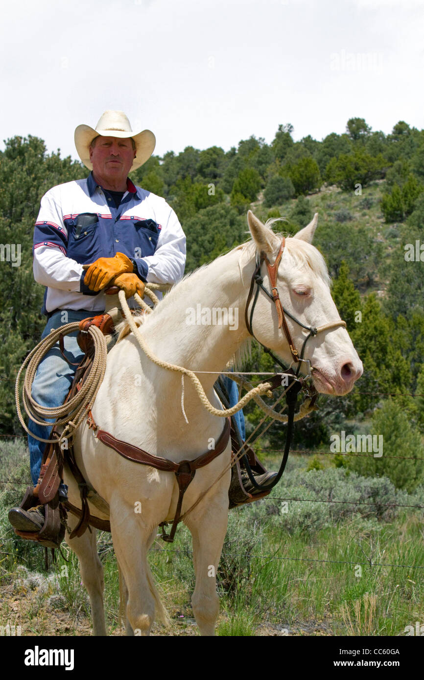 City cowboy hi-res stock photography and images - Alamy