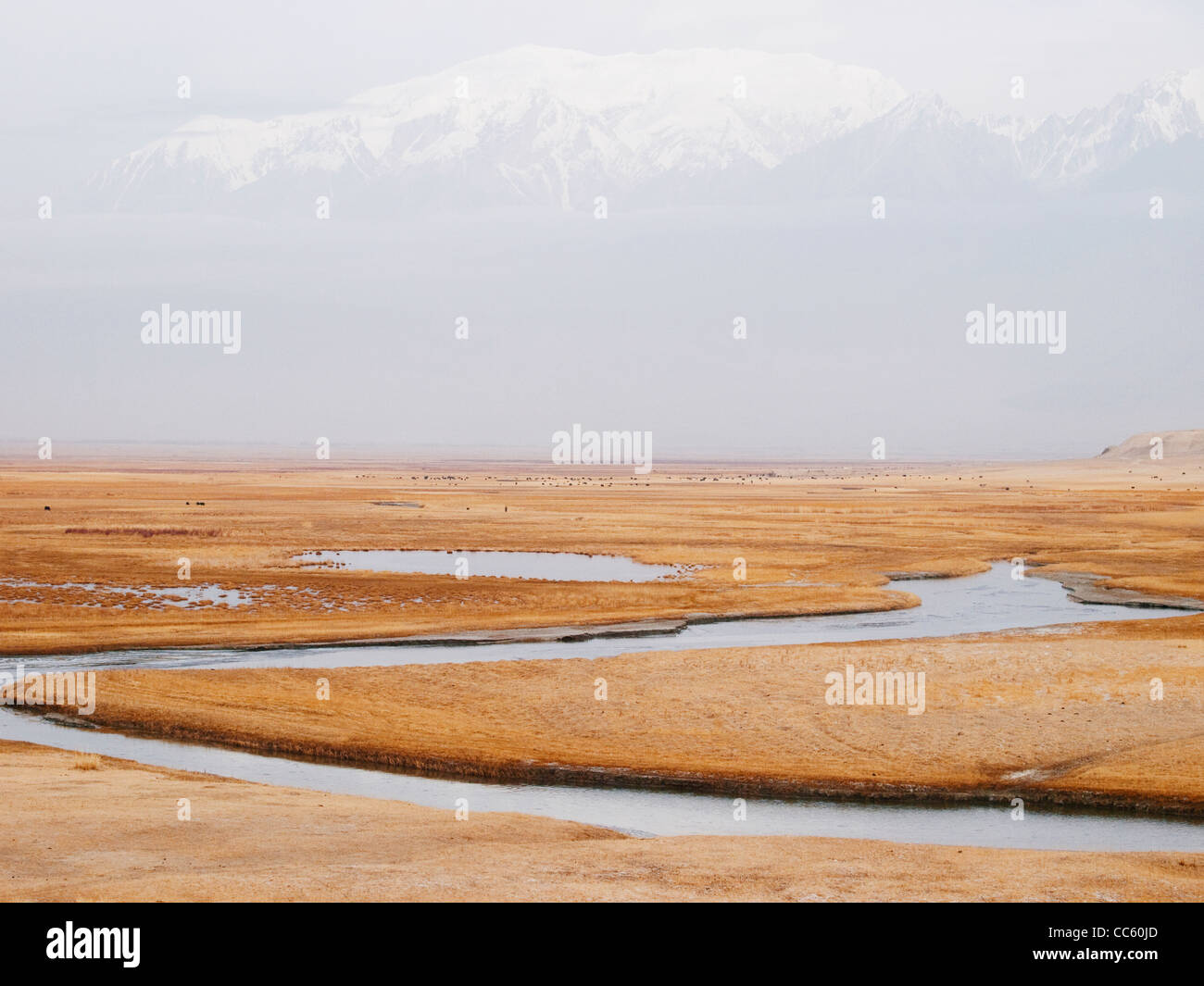 Bayingolin mongol autonomous prefecture hi-res stock photography and ...