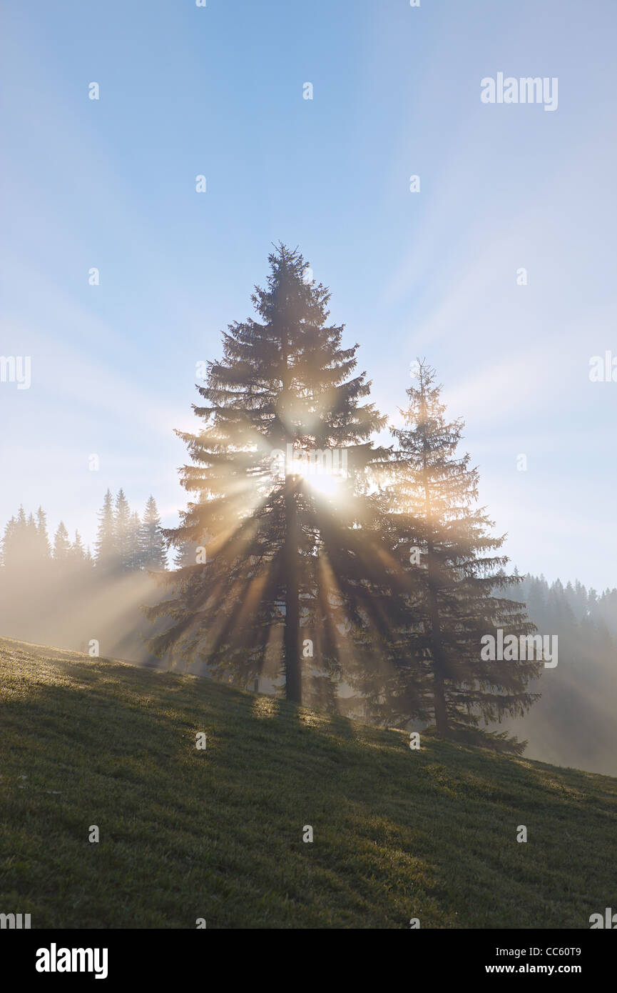 Rising sun rays hi-res stock photography and images - Alamy