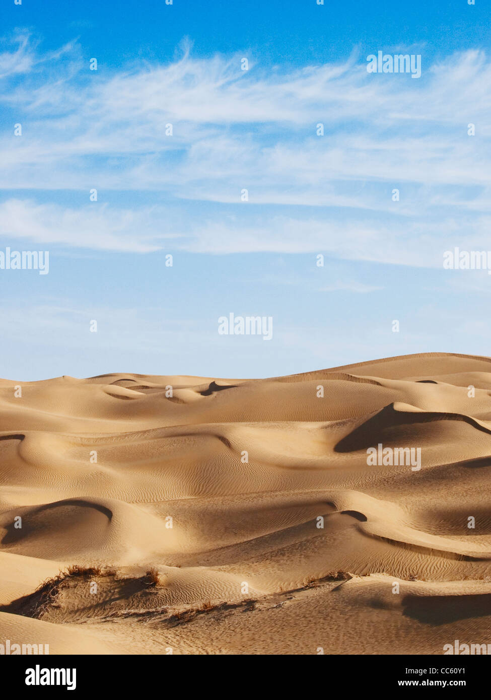Taklamakan Desert, Xinjiang Uyghur Autonomous Region, China Stock Photo ...