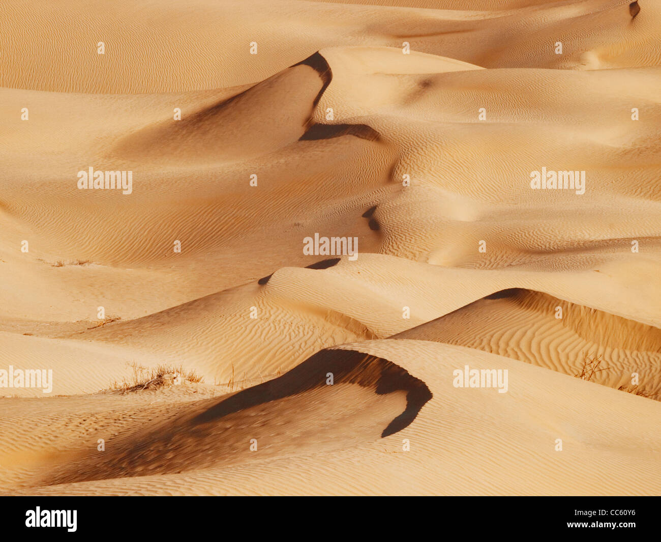 Xinjiang uyghur autonomous region hi-res stock photography and images ...