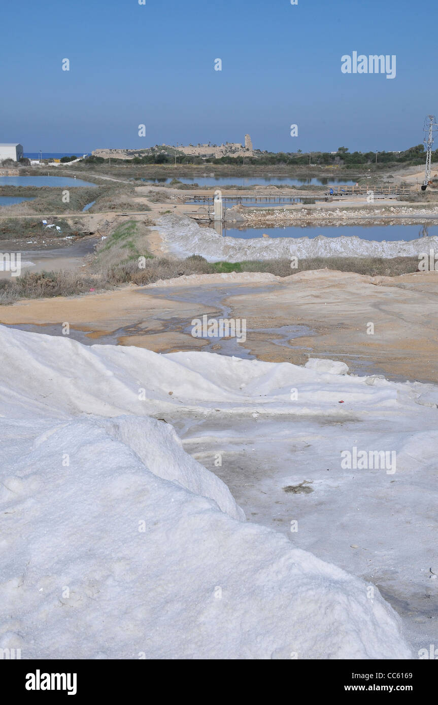 Israel, Coastal Plains, Atlit, Israel Salt Company est. 1922 produces ...