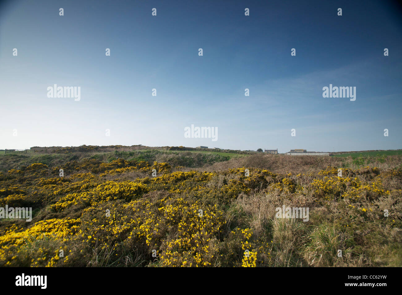 Rinsey Head, Cornwall Stock Photo - Alamy