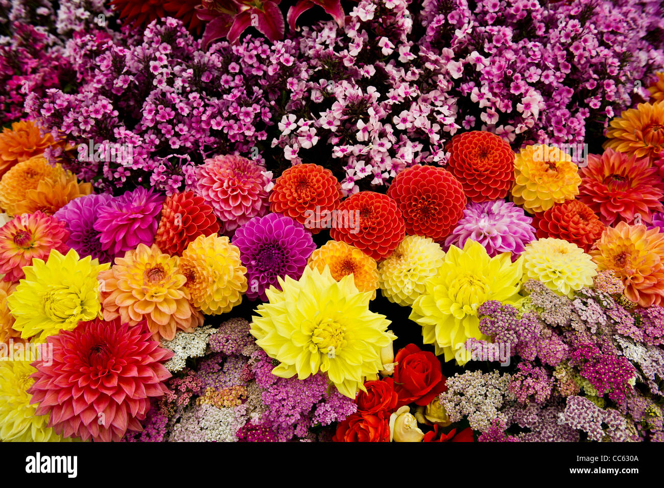 Bright street display hi-res stock photography and images - Alamy
