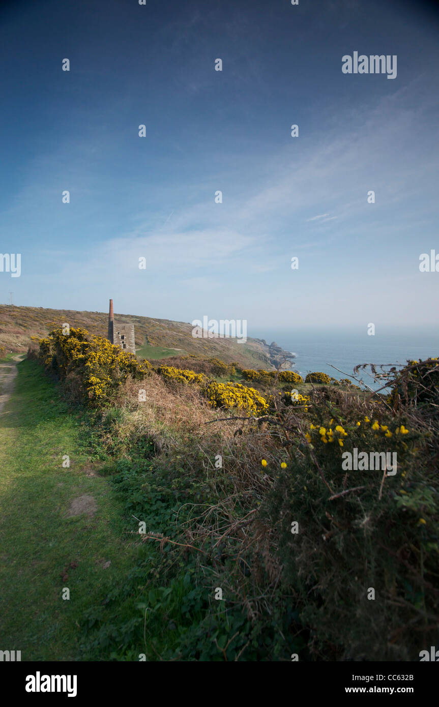 Wheal Prosper engine, Rinsey Head, Cornwall Stock Photo - Alamy