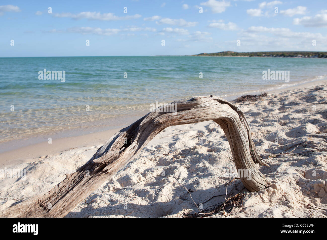 A view of Monkey Mia beach, Western Australia, with a withered stick in ...