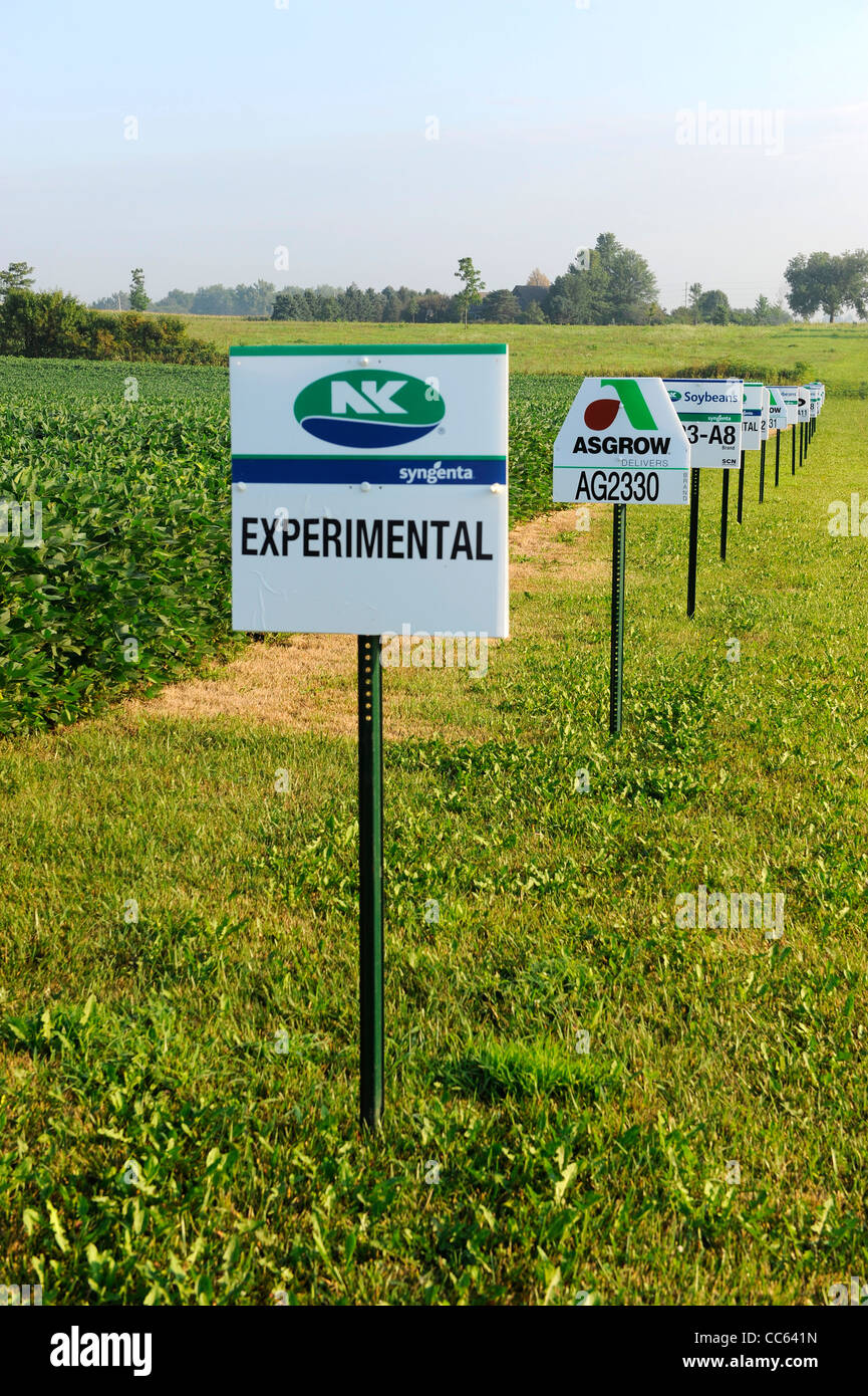 Iowa seed variety test farm field for seed corn soybean alfalfa and ...