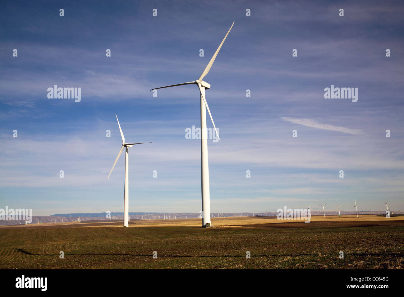 Wind turbines dot the horizon at wind farms along the Columbia River ...