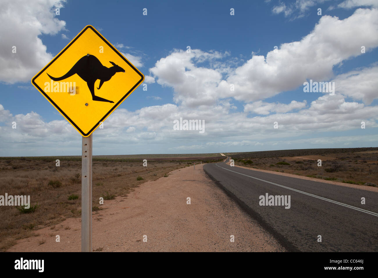 Iconic yellow and black kangaroo road sign on an outback road in ...