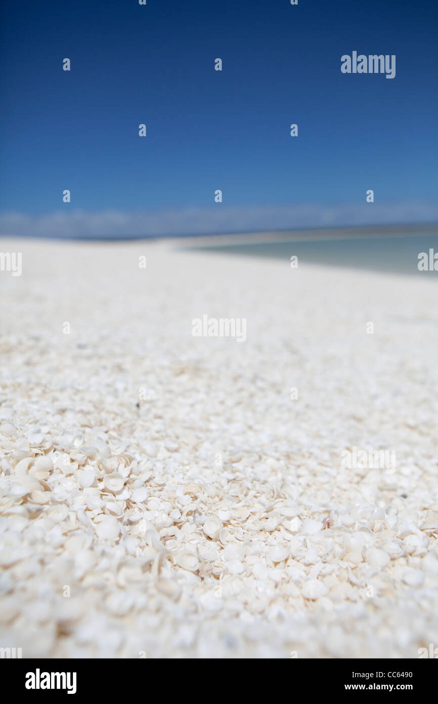A close up of the shells on shell beach with the tropical blue waters ...