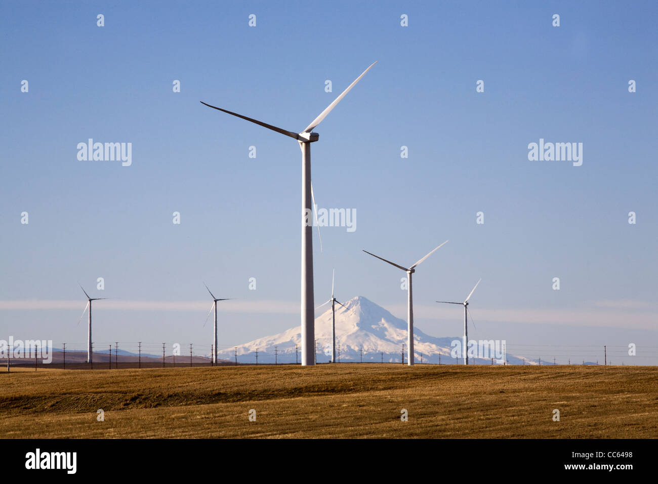 Wind turbines dot the horizon at wind farms along the Columbia River ...