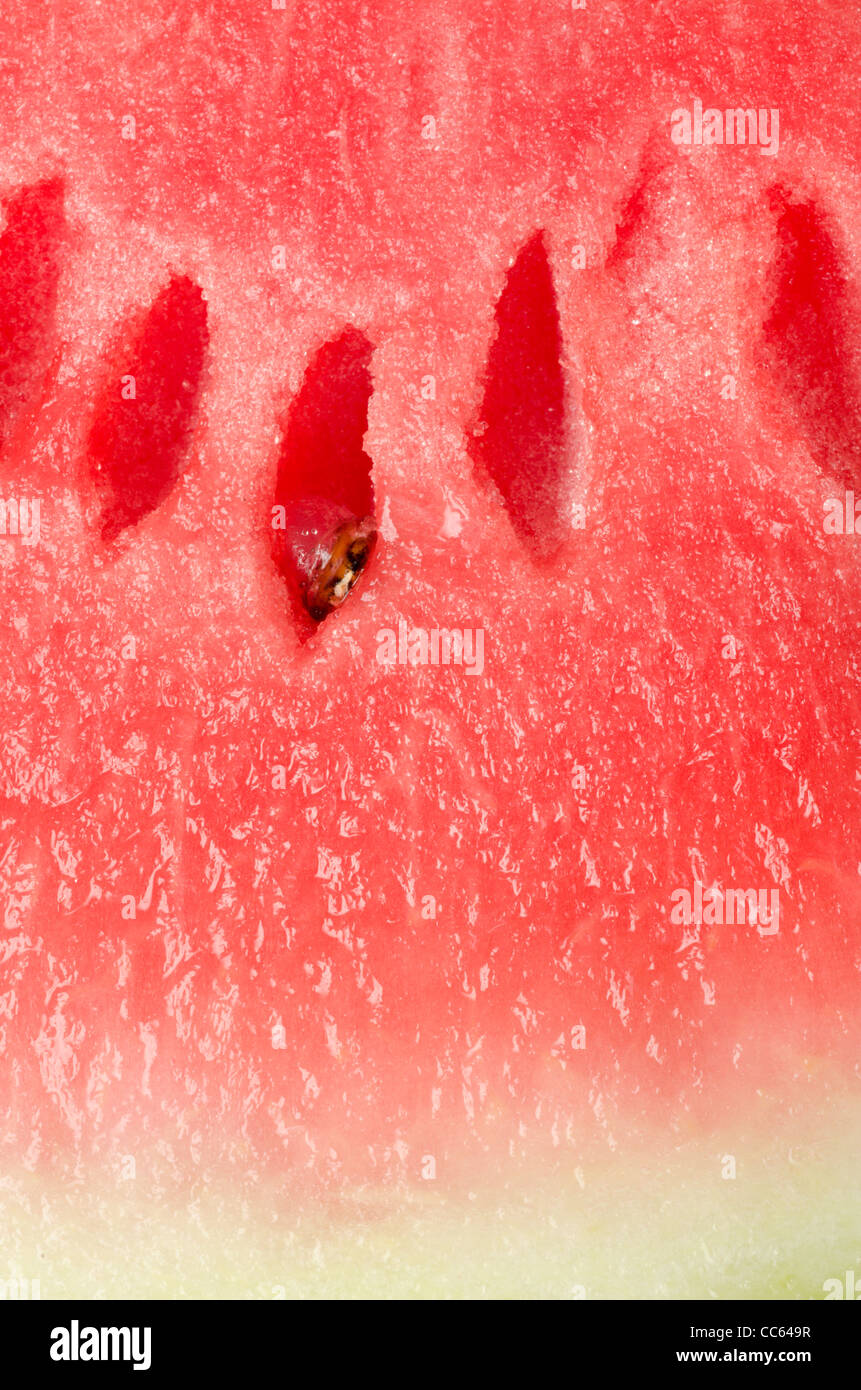 Watermelon seed hi-res stock photography and images - Alamy