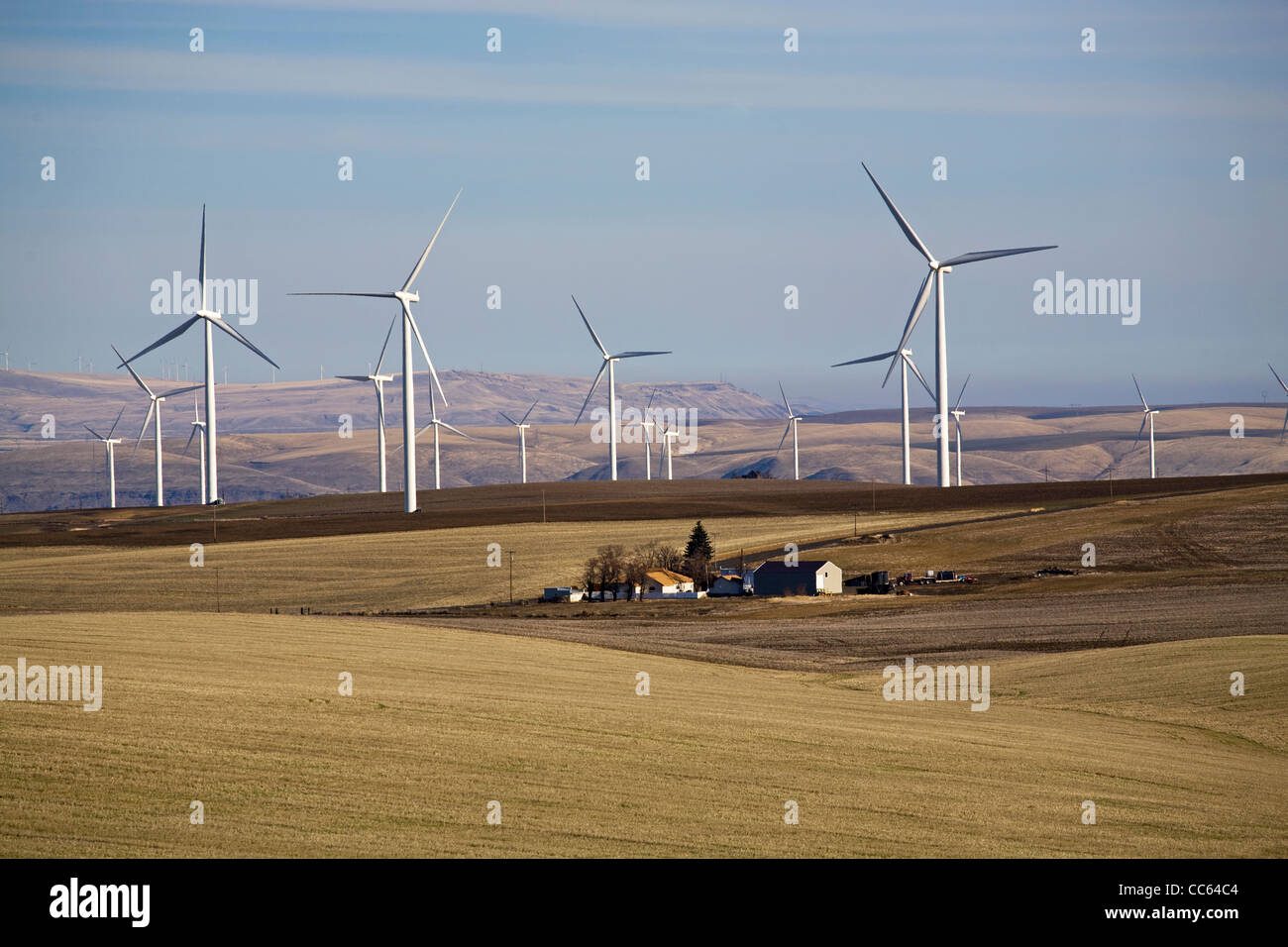 Wind turbines dot the horizon at wind farms along the Columbia River ...