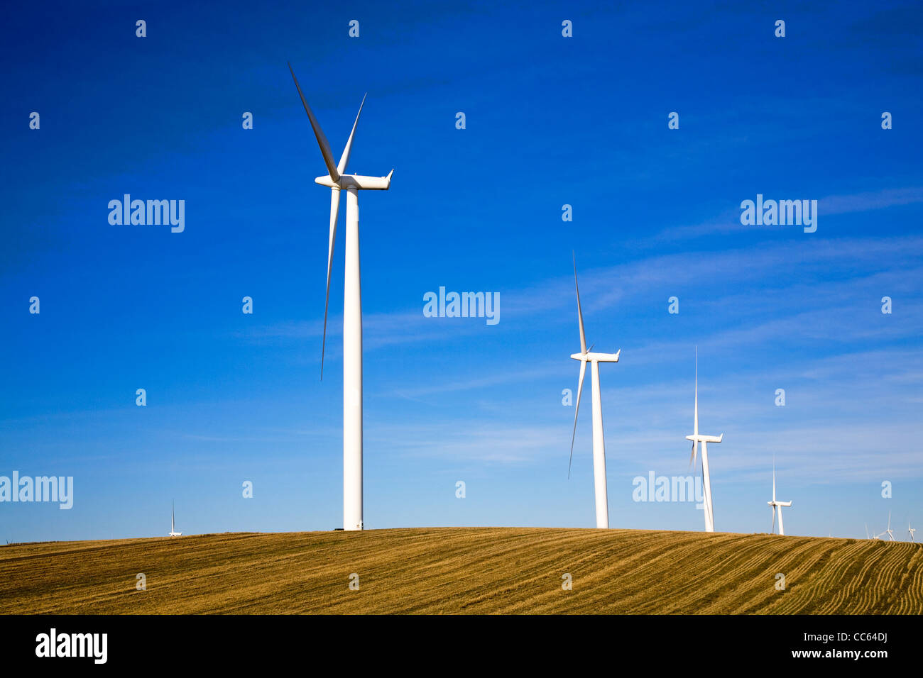 Wind turbines dot the horizon at wind farms along the Columbia River ...