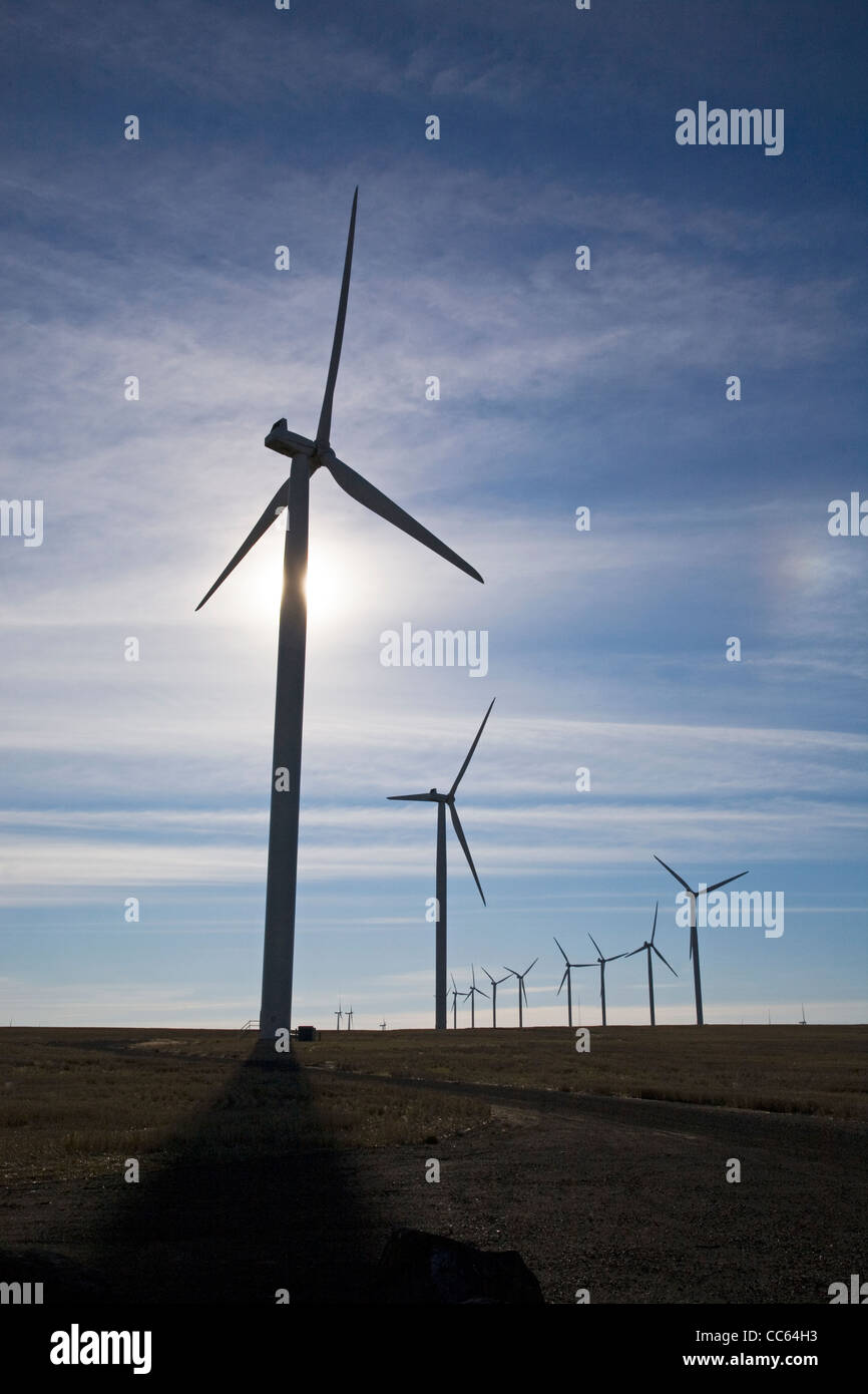 Wind turbines dot the horizon at wind farms along the Columbia River ...