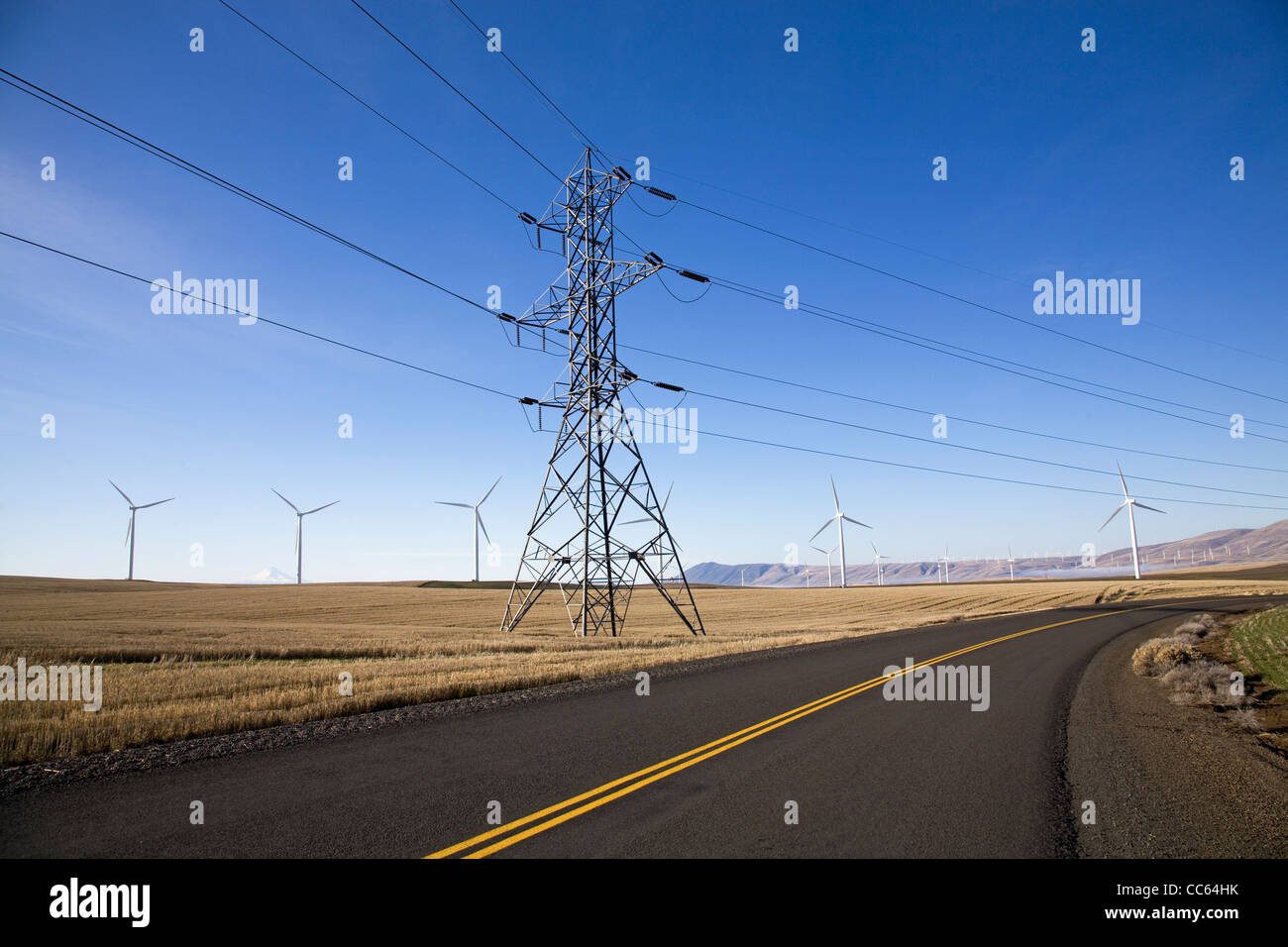 Wind turbines dot the horizon at wind farms along the Columbia River ...