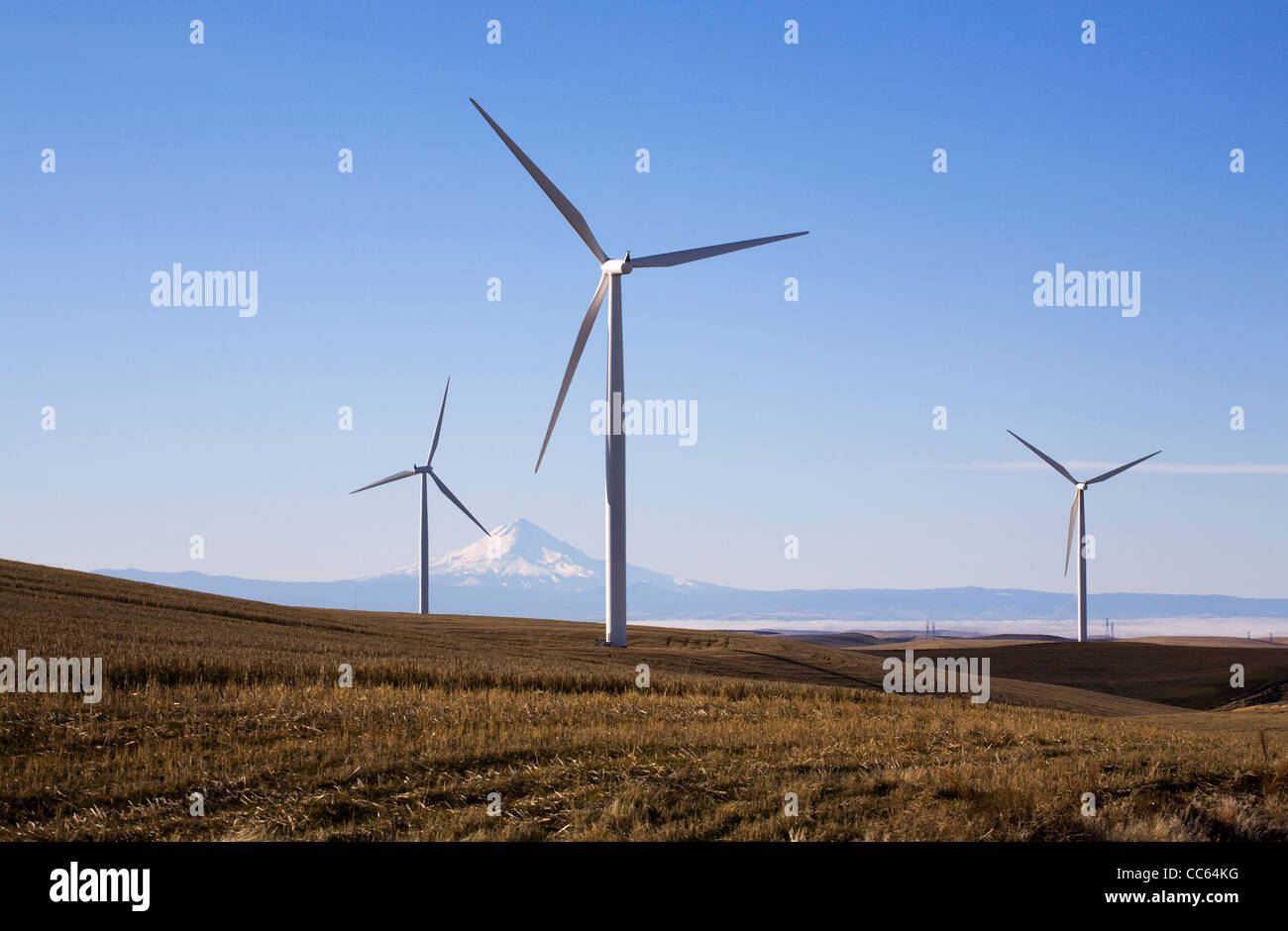 Wind turbines dot the horizon at wind farms along the Columbia River ...