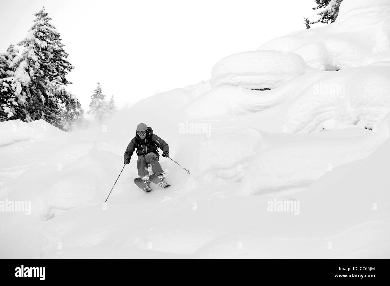 Covered with powder snow Black and White Stock Photos & Images - Alamy