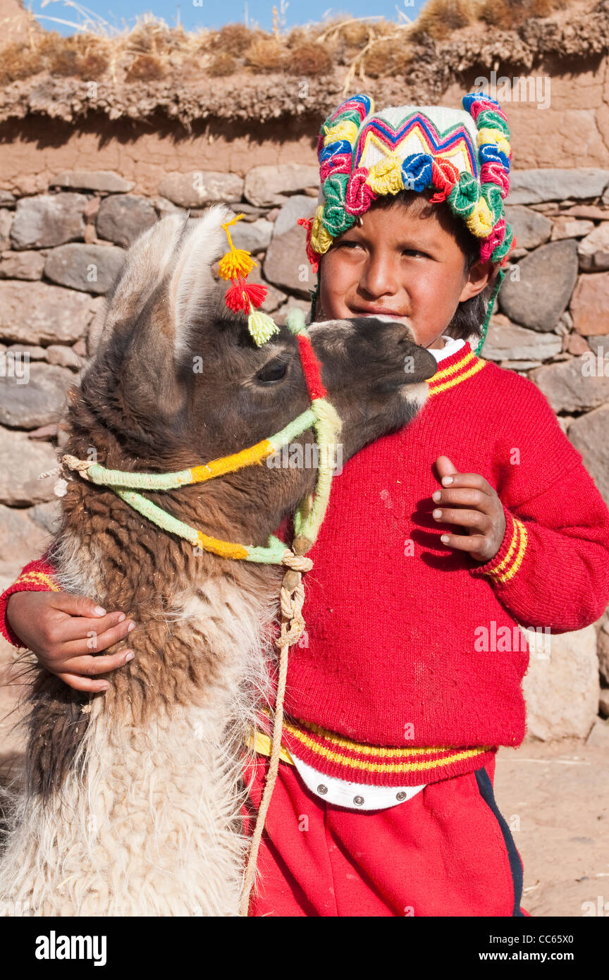 Peru, Atuncolla. Quechua boy with llama, Atuncolla, Peru Stock Photo ...