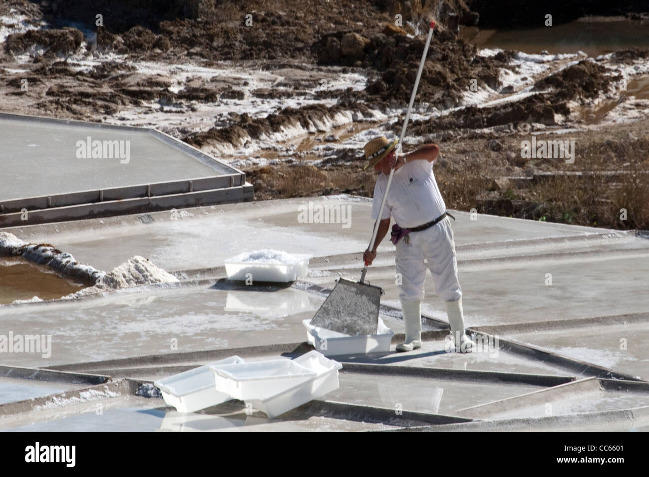 Harvesting salt, one of the oldest salt factories in the world ...