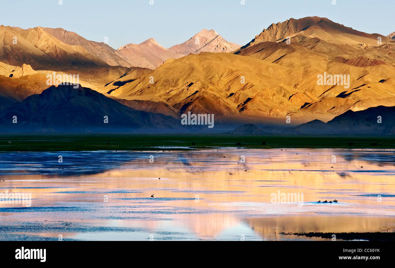 Pangong tso hi-res stock photography and images - Alamy