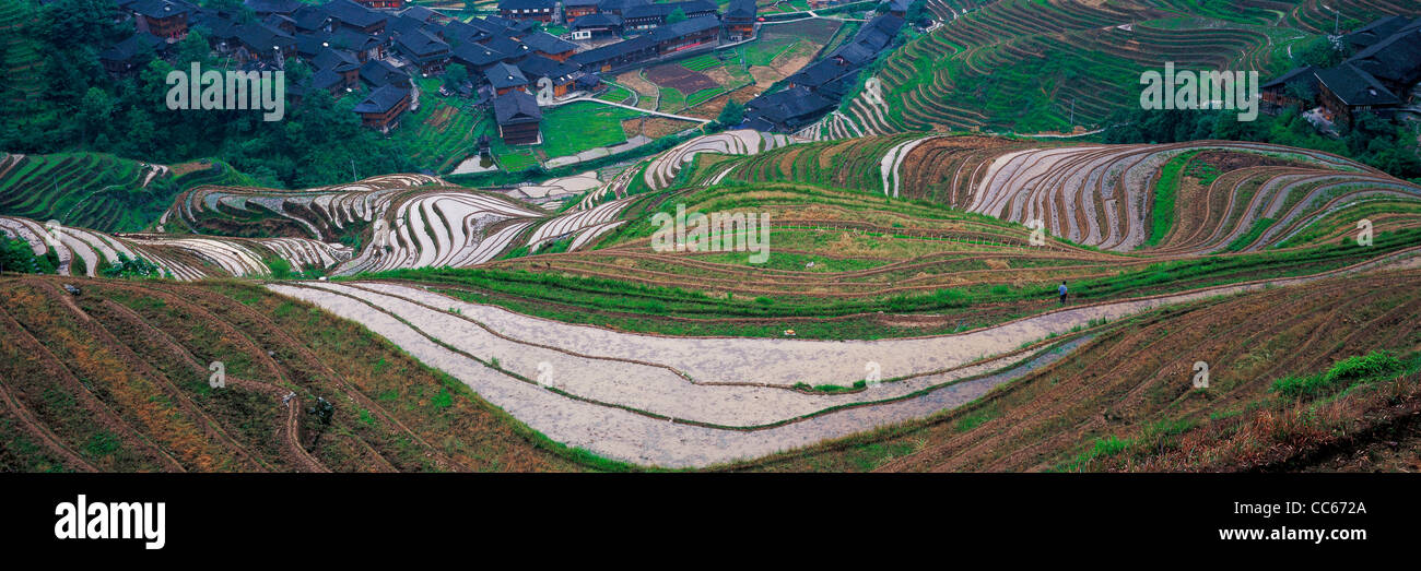 Longji Terraced Field, Longsheng Various Nationalities Autonomous ...