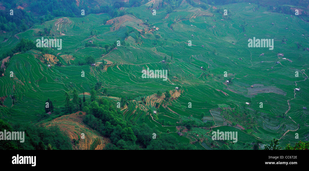Honghe hani and yi autonomous prefecture hi-res stock photography and ...
