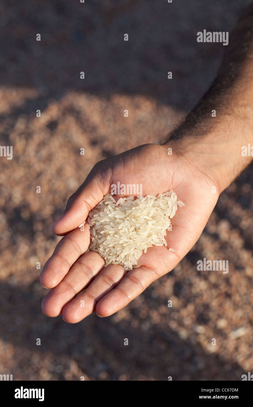 Handful of rice hi-res stock photography and images - Alamy