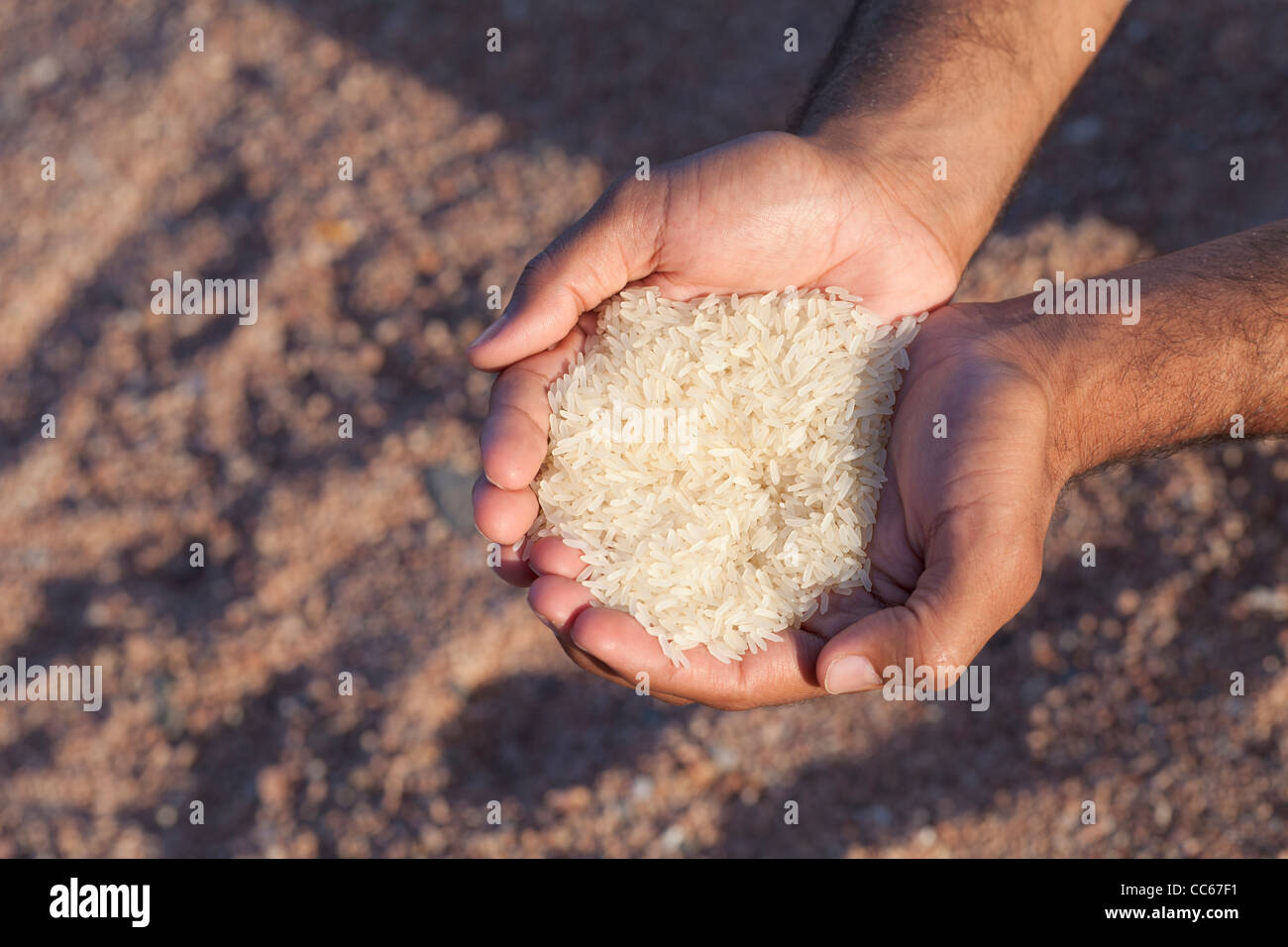 Hands and rice Stock Photo - Alamy