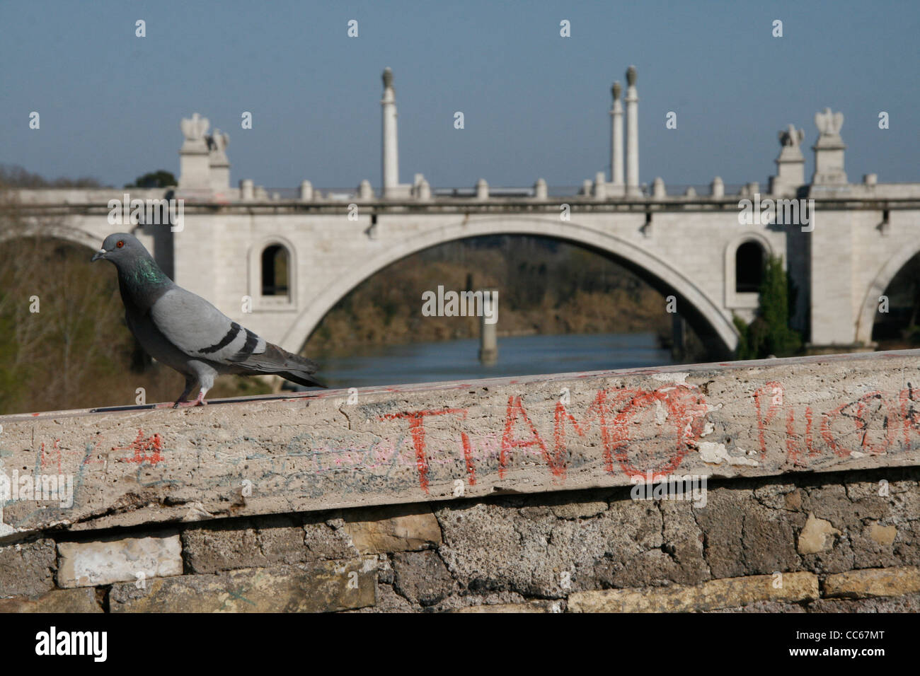 Ponte flaminio bridge seen from ponte milvio bridge in rome italy ...