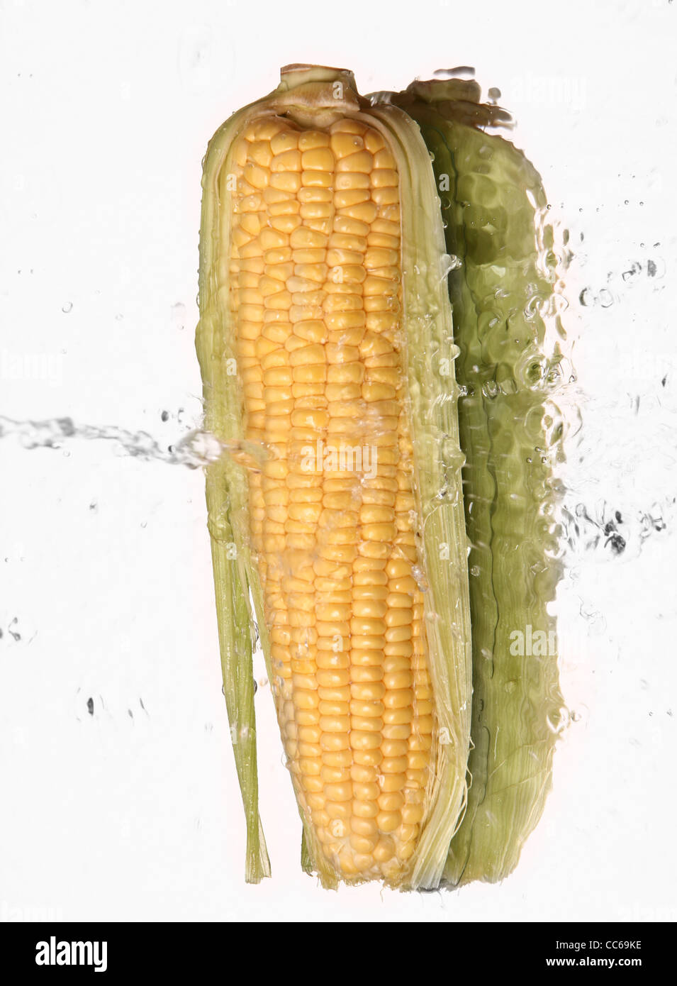 Background golden indian corn Cut Out Stock Images & Pictures - Alamy