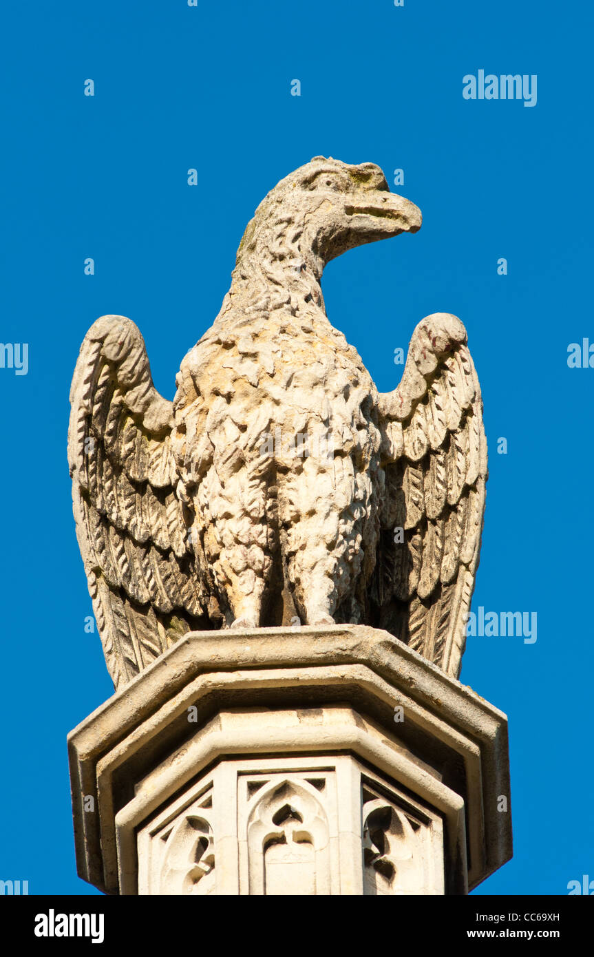 A stone eagle on St John's College, Cambridge University, England Stock ...