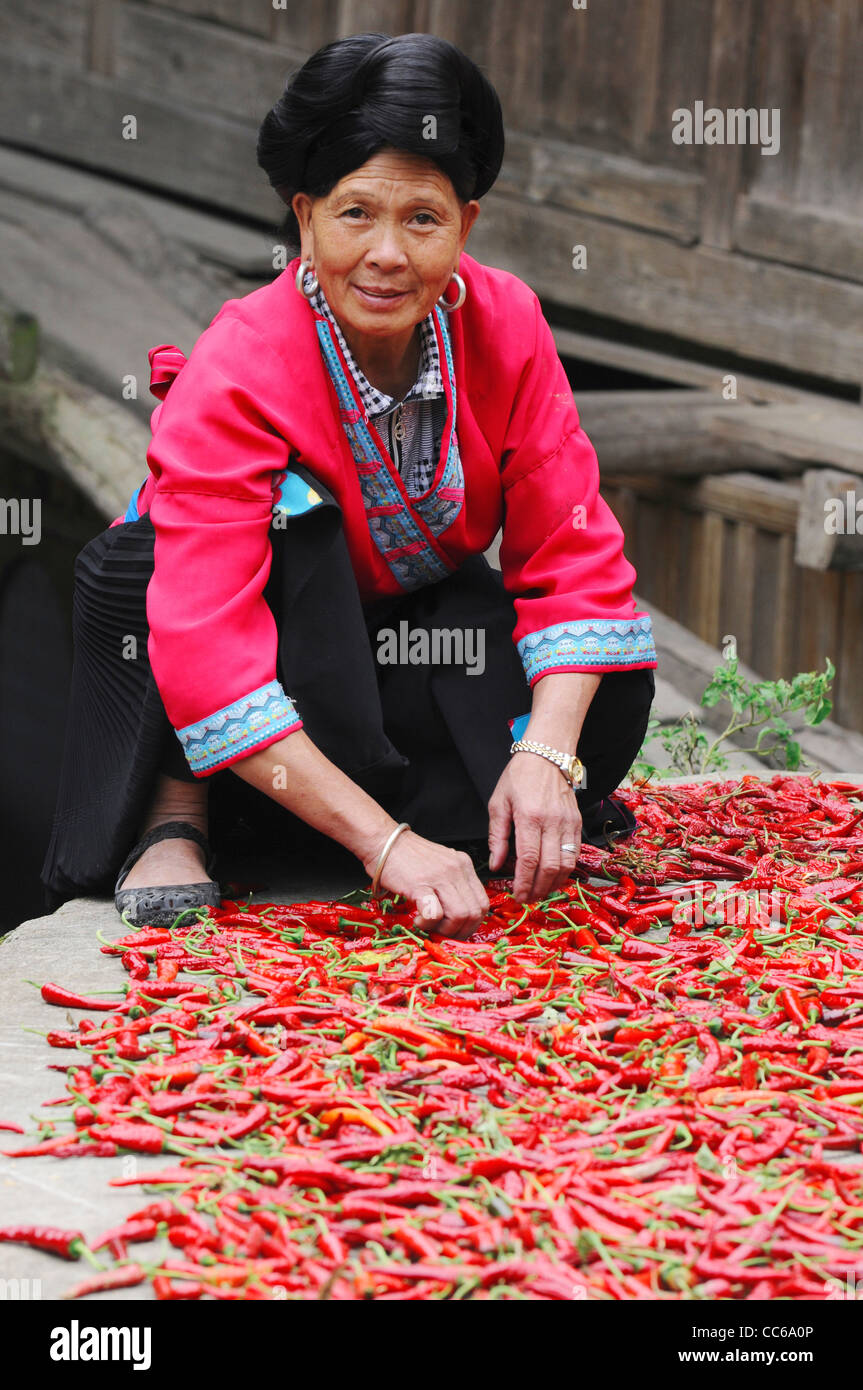 Red Yao woman drying cayenne pepper, Huangluo Yao Village, Longsheng ...