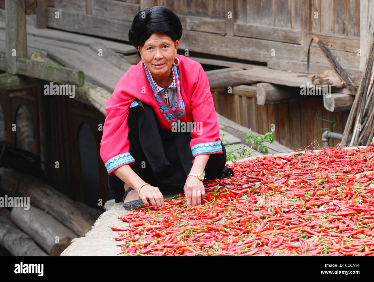 Red Yao woman drying cayenne pepper, Huangluo Yao Village, Longsheng ...